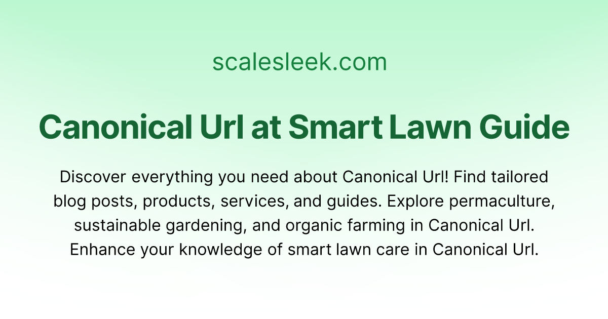Level Up Your Canonical Url | Scale Sleek