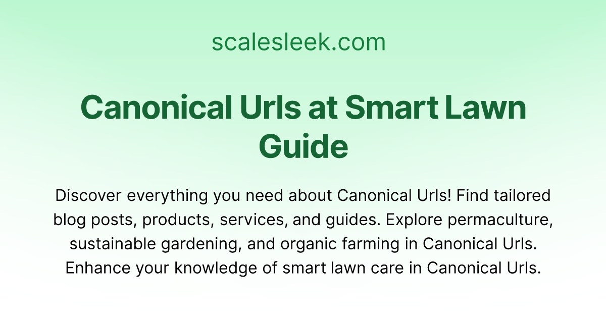Level Up Your Canonical Urls | Scale Sleek Level Up Your Canonical Urls | Scale Sleek