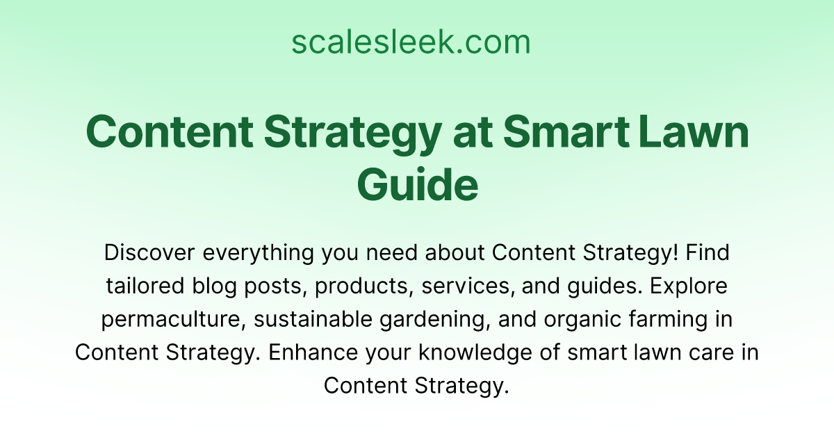 Level Up Your Content Strategy | Scale Sleek