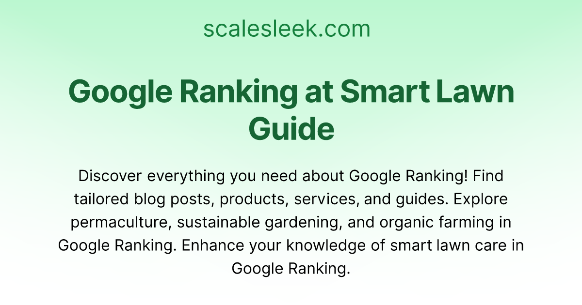 Level Up Your Google Ranking | Scale Sleek