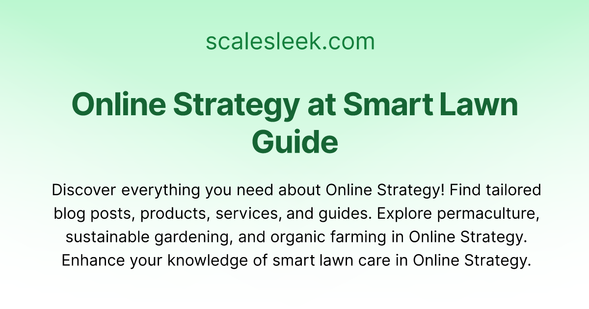 Level Up Your Online Strategy | Scale Sleek