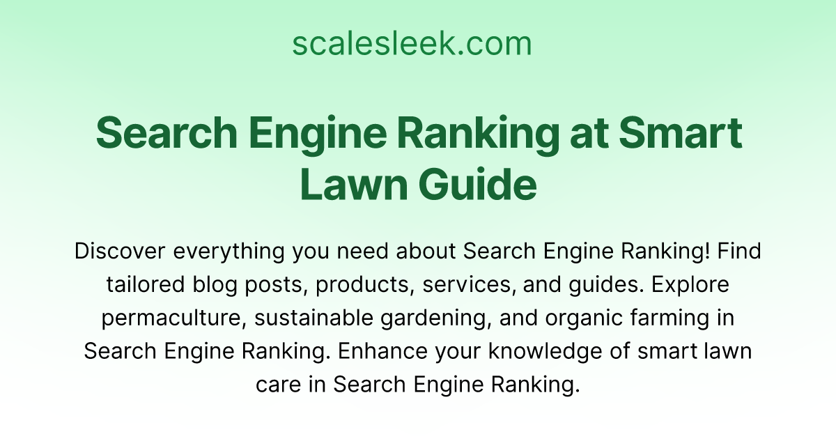 Level Up Your Search Engine Ranking | Scale Sleek