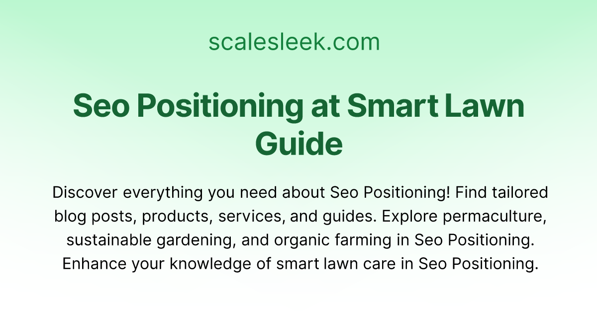 Level Up Your Seo Positioning | Scale Sleek