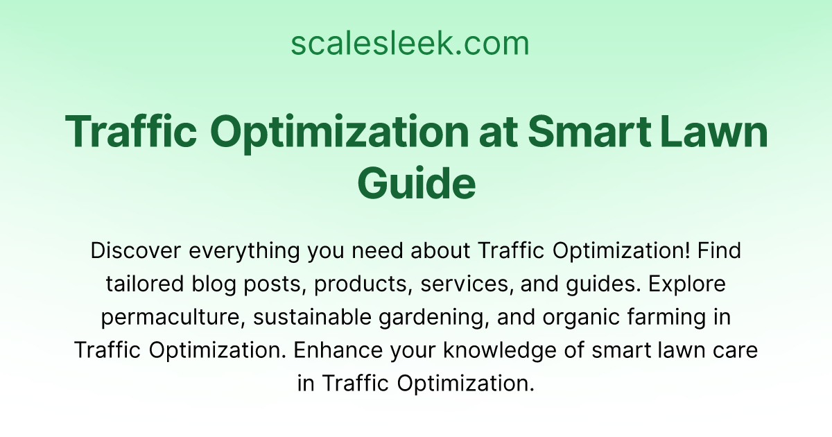 Level Up Your Traffic Optimization | Scale Sleek