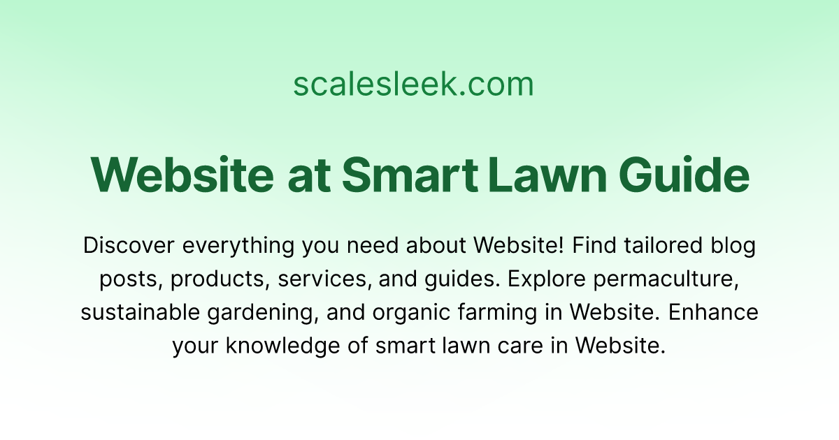 Level Up Your Website | Scale Sleek
